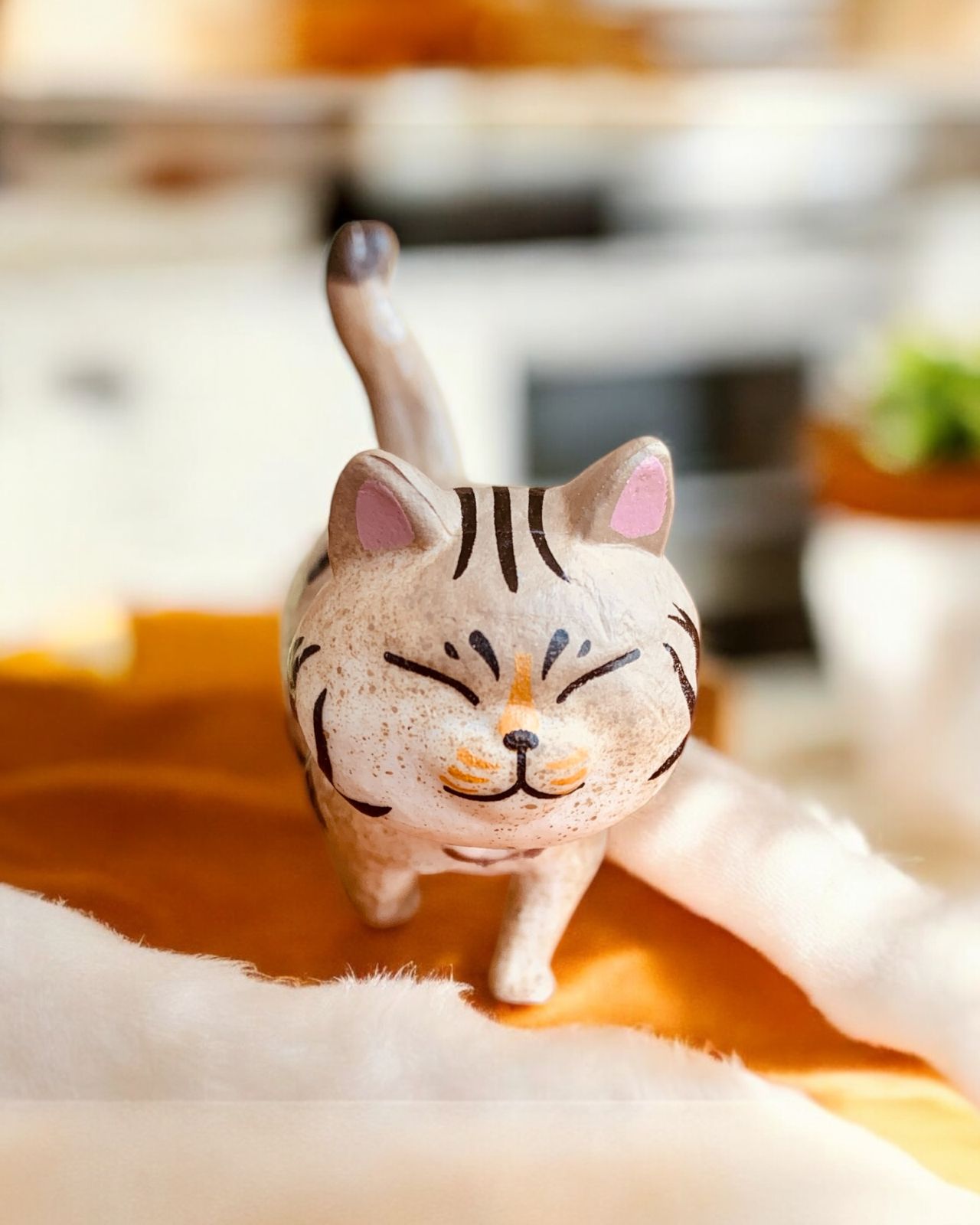 GATOS – Corazón de Arroz